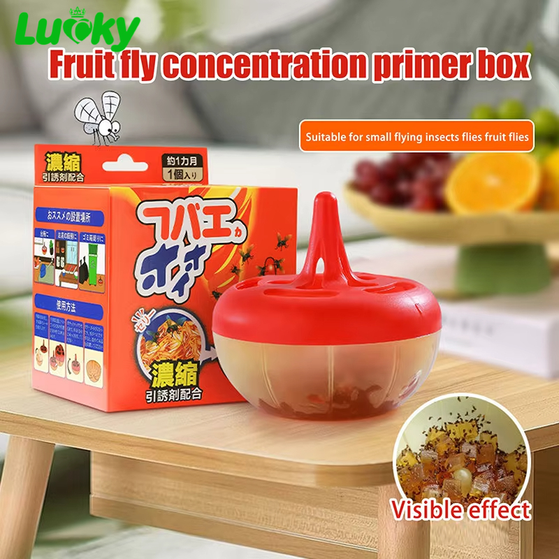 Japan Fruit Fly Bait Sticks and Fly Killers Kitchen Small Flying Bugs ...