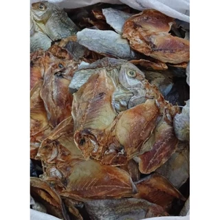 danggit - Best Prices and Online Promos - Apr 2025 | Shopee Philippines