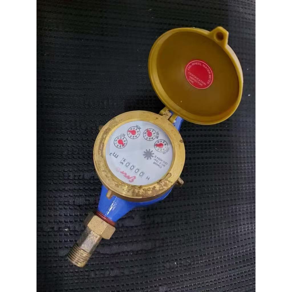 ELECTRIC METER/WATER METER W/ RUST ACTUAL PHOTO POSTED (HETACHI 1 LIGHT ...