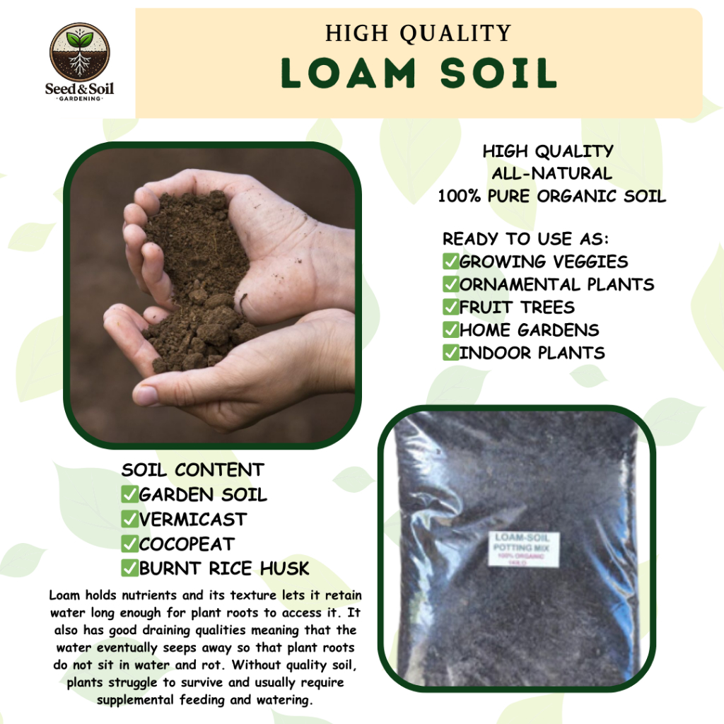 Loam Soil 1kg – High Quality Garden Soil for Plants, Vegetables ...