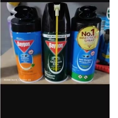 BAYGON SPRAY 300 ml randomised 300 ml | Shopee Philippines