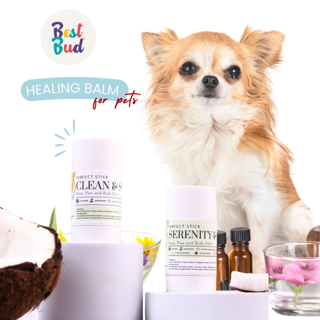 Bestbud Purfect Stick - Healing Balm for Pets (Nose, Body and Paw Balm ...