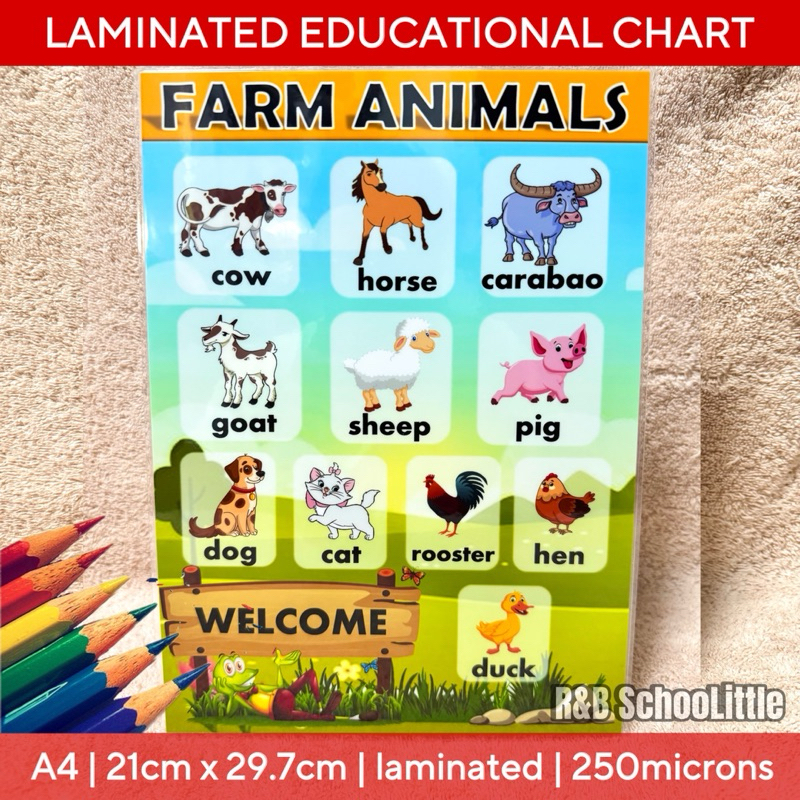Animals - A4 Laminated Educational Chart 250microns for Preschoolers ...