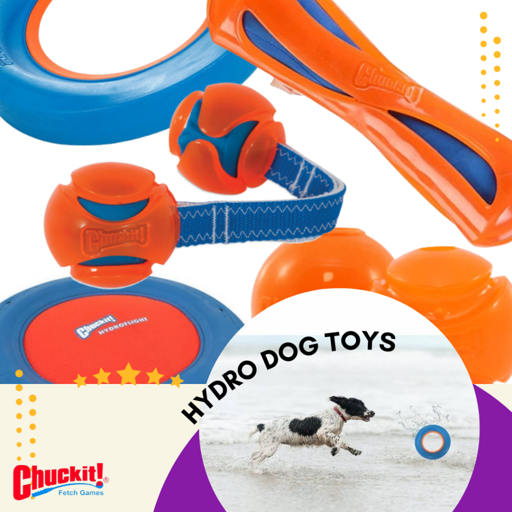 Chuckit! Hydro Fetch Dog Toy | Shopee Philippines