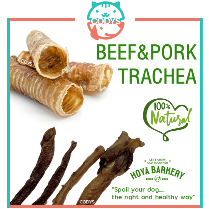 HOYA BARKERY Beef Trachea and Pork Trachea All Natural Dog Treats ...