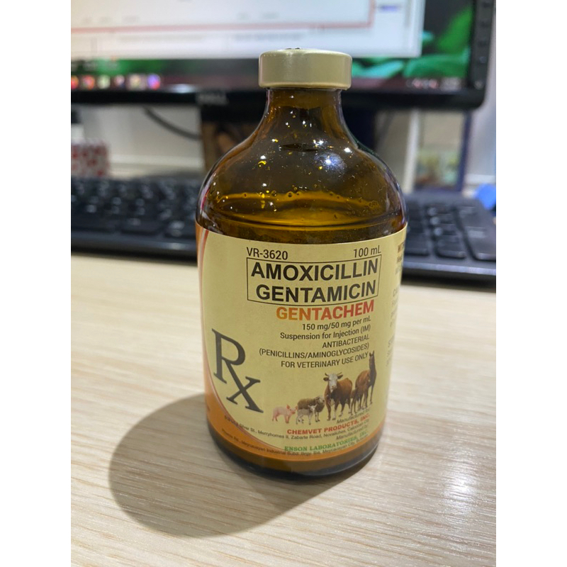GENTACHEM Genta+Amox Gentamox 100mL | Shopee Philippines