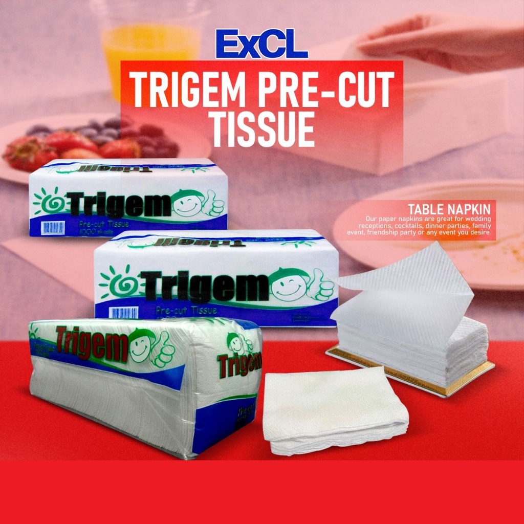 Trigem Pre-Cut Tissue - 1 pack x 1,000 sheet | Shopee Philippines