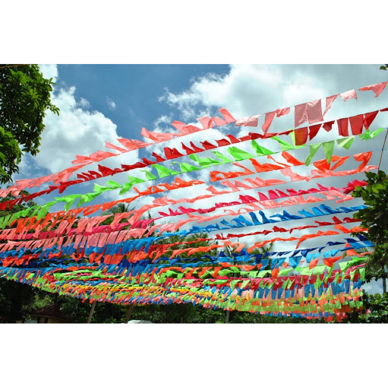 Fiesta Banderitas 10meters Plastic charol | Shopee Philippines