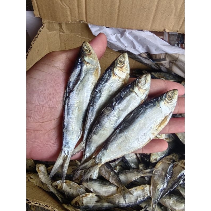 1 kilo Tuyo Salinas Medium - Big | Shopee Philippines