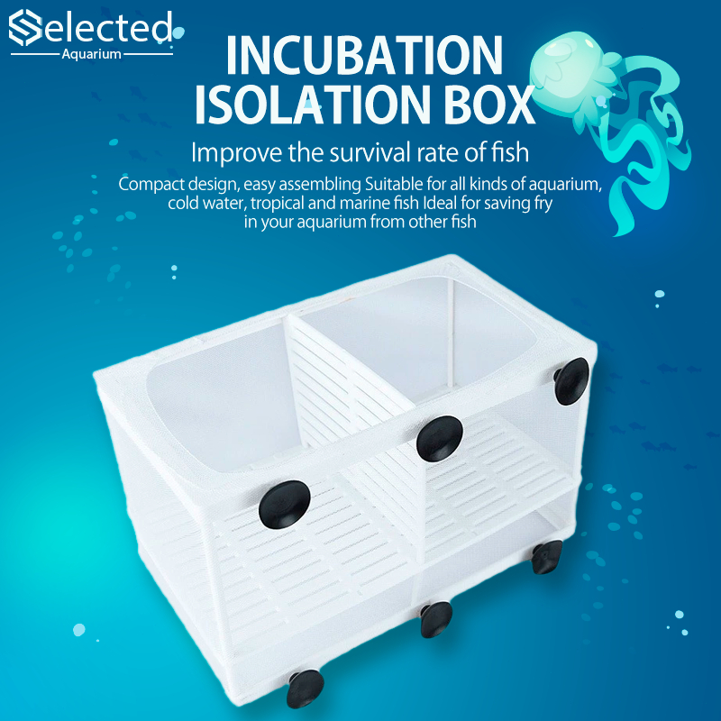 Aquarium Fish Hatchery Breeder Box Incubator Breeding Isolation Mesh ...