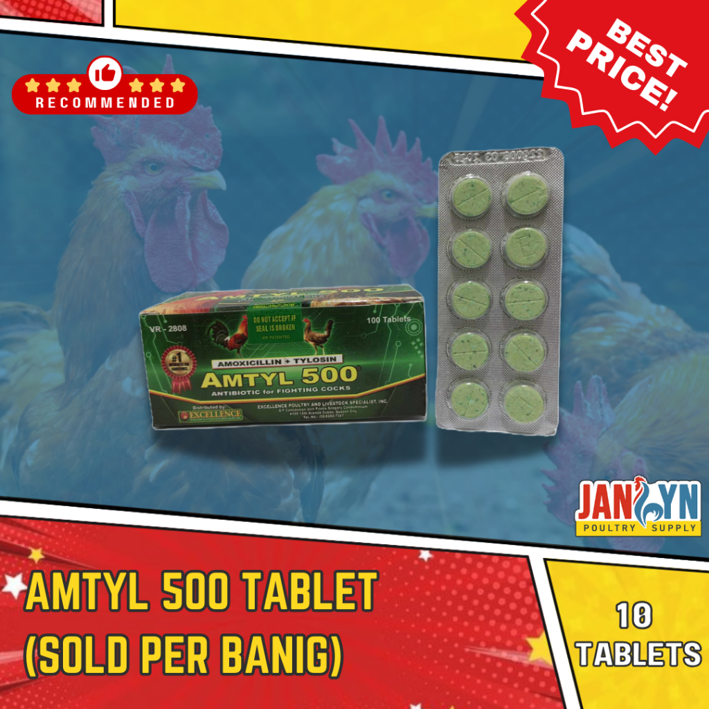 Amtyl 500 - 10 Tablets per Banig | Shopee Philippines