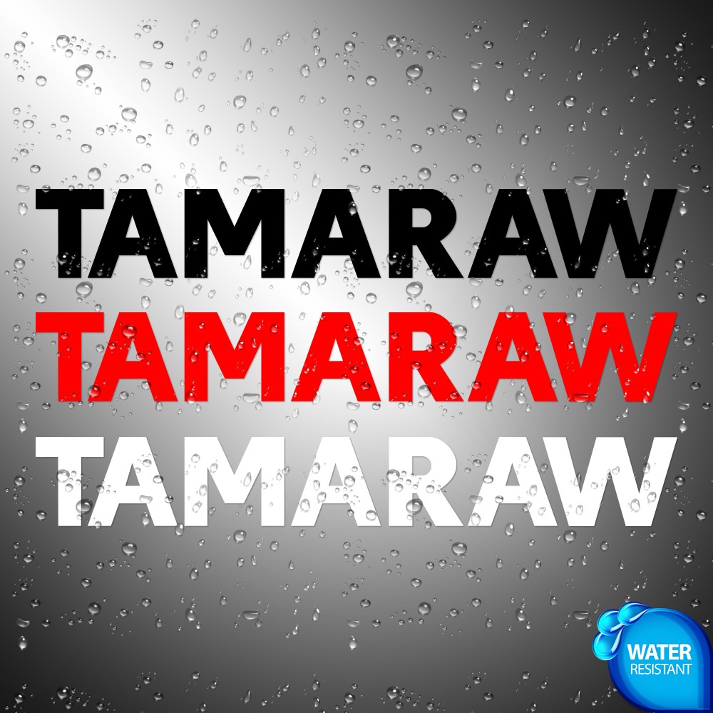 Sticker | 1X Toyota Tamaraw Champ | Weather proof die-cut decal | 8 ...