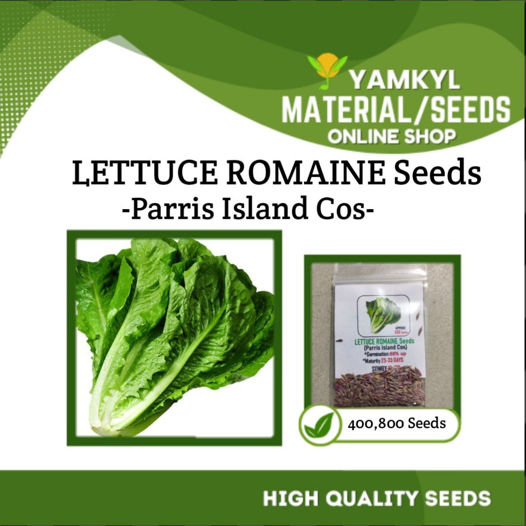 LETTUCE ROMAINE-Parris island coss-High Quality Vegetable Seeds ...