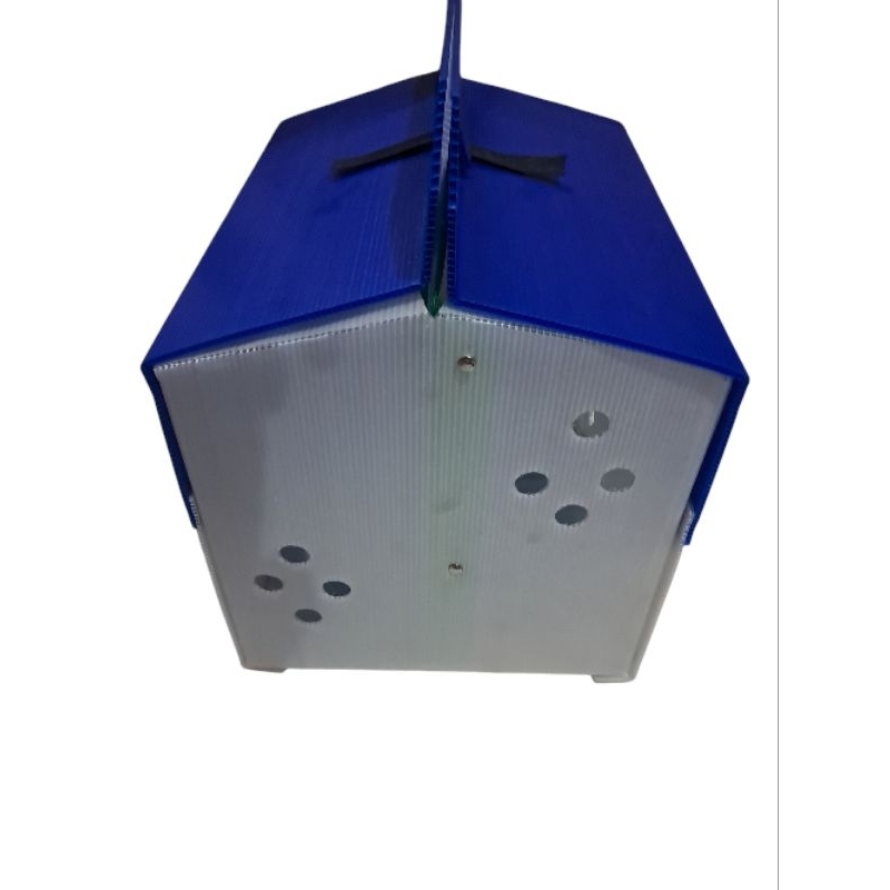 Derby box Double Blue for Cock Fighting Derby chicken courier box ...