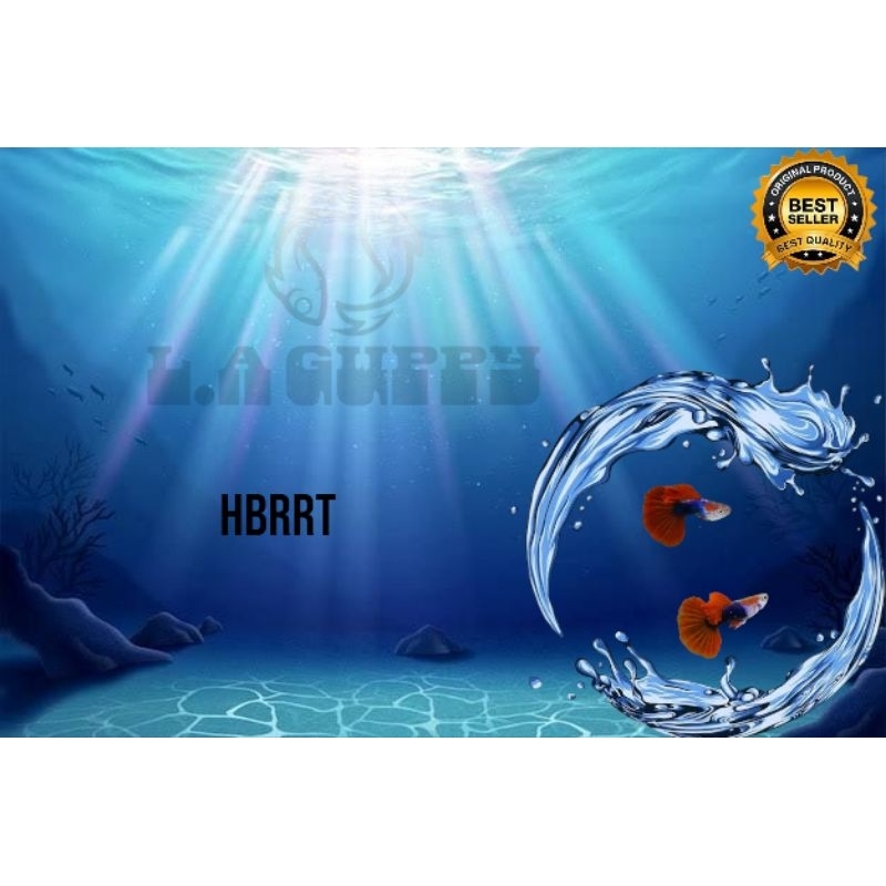 TRAYO HBRRT with free fishfood | Shopee Philippines