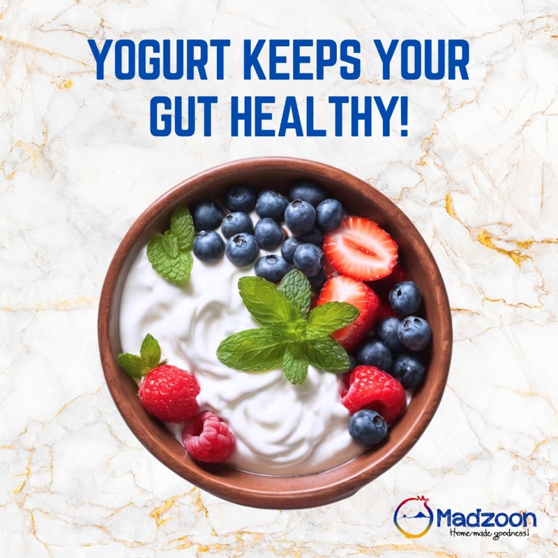Madzoon Authentic Greek Yogurt (METRO MANILA and RIZAL ONLY - Same Day ...