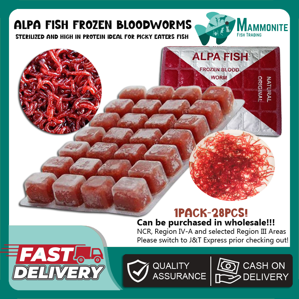 Frozen Bloodworm Cubes (WHOLESALE) fish food pet food | Shopee Philippines