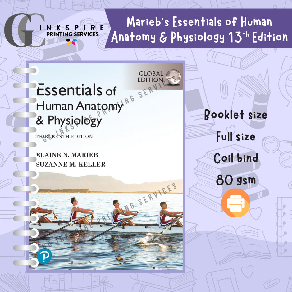 Marieb's Essentials of Human Anatomy and Physiology 13th Edition ...