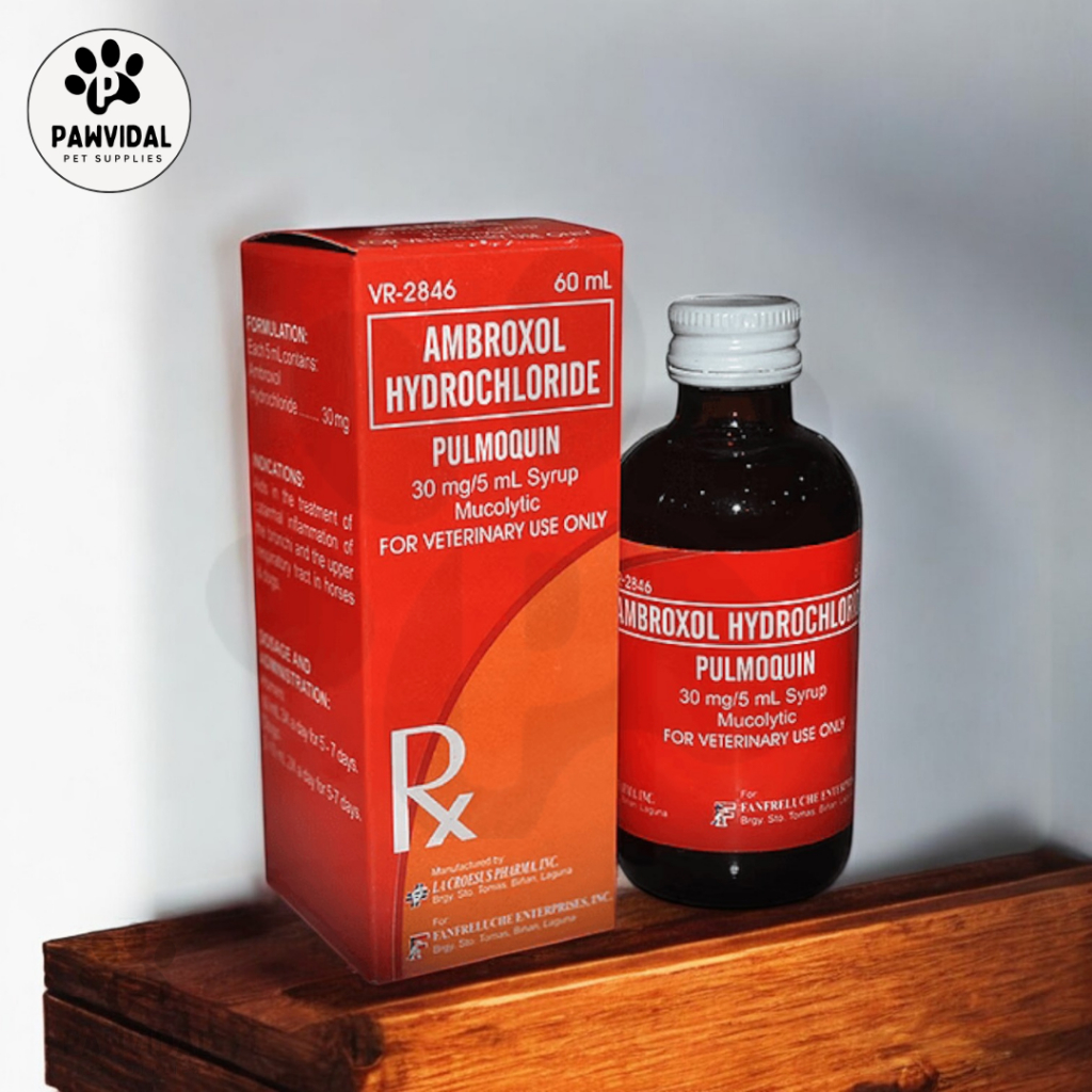 PULMOQUIN mucolytic Ambroxol/hydrochloride (60ml) | Shopee Philippines