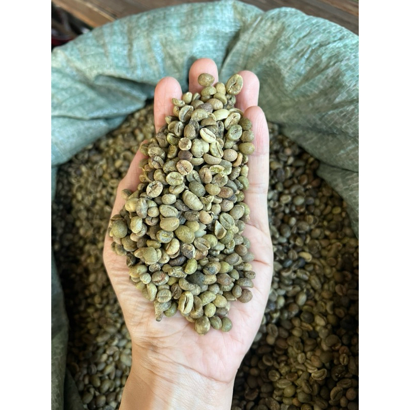 GCB Green Coffee Beans Robusta 1kg | Shopee Philippines