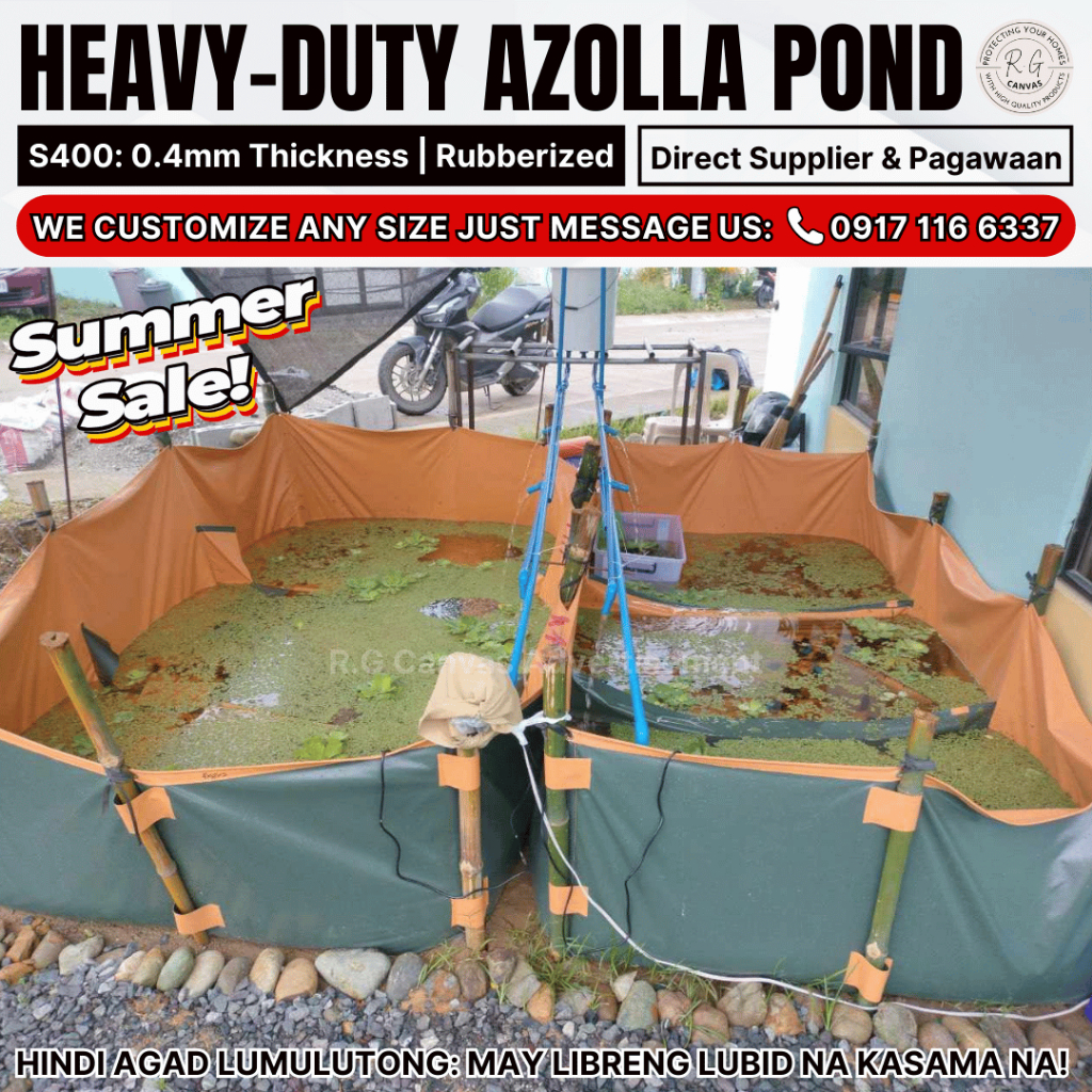 ORIGINAL S400 BRAND AZOLLA POND FISH POND CRAYFISH POND ULANG 0.4MM ...