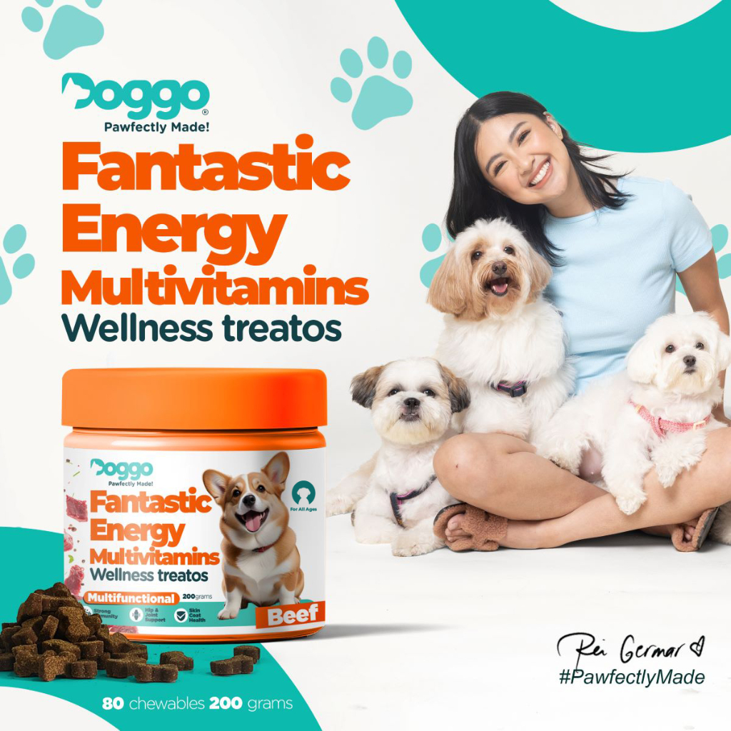 Doggo Fantastic Energy Multivitamins Wellness Treatos (200g) | Shopee ...