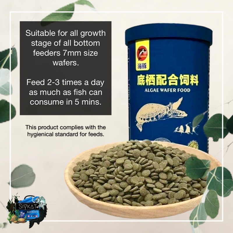 PORPOISE ALGAE WAFER FOOD FOR FISH | Shopee Philippines