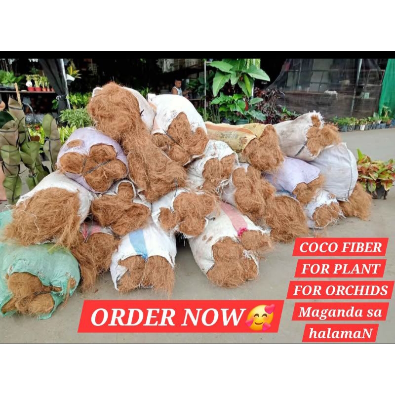 Coco fiber 250 g for orchids and other plant | Shopee Philippines