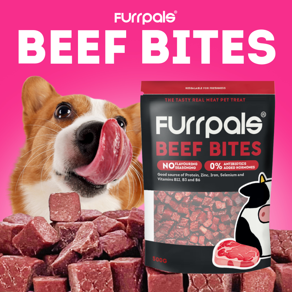 Furrpals Beef Bites Pet Snack Pet Treats Dog Treats Beef Cube Beef ...