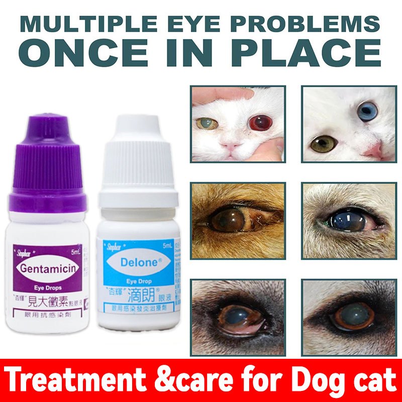 Gentamicin Eye Drop For Dog Cats Treating Eye Infections 5 ML | Shopee ...