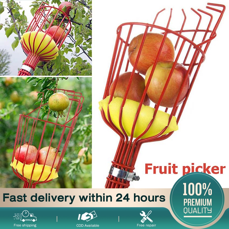 Fruit Picker Deep Basket Harvesting Fruit Collector Catcher Apple Peach ...