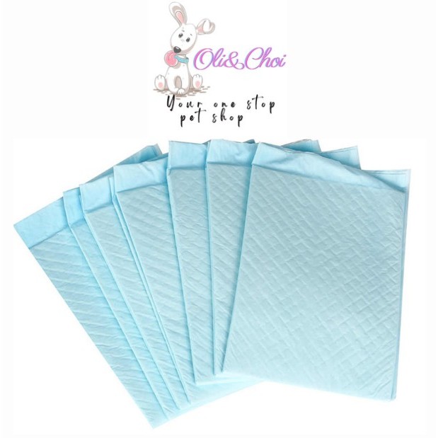 Oli&Choi Pet Pee Pad, Regular Absorbent Pee Pad, All kinds of pets ...