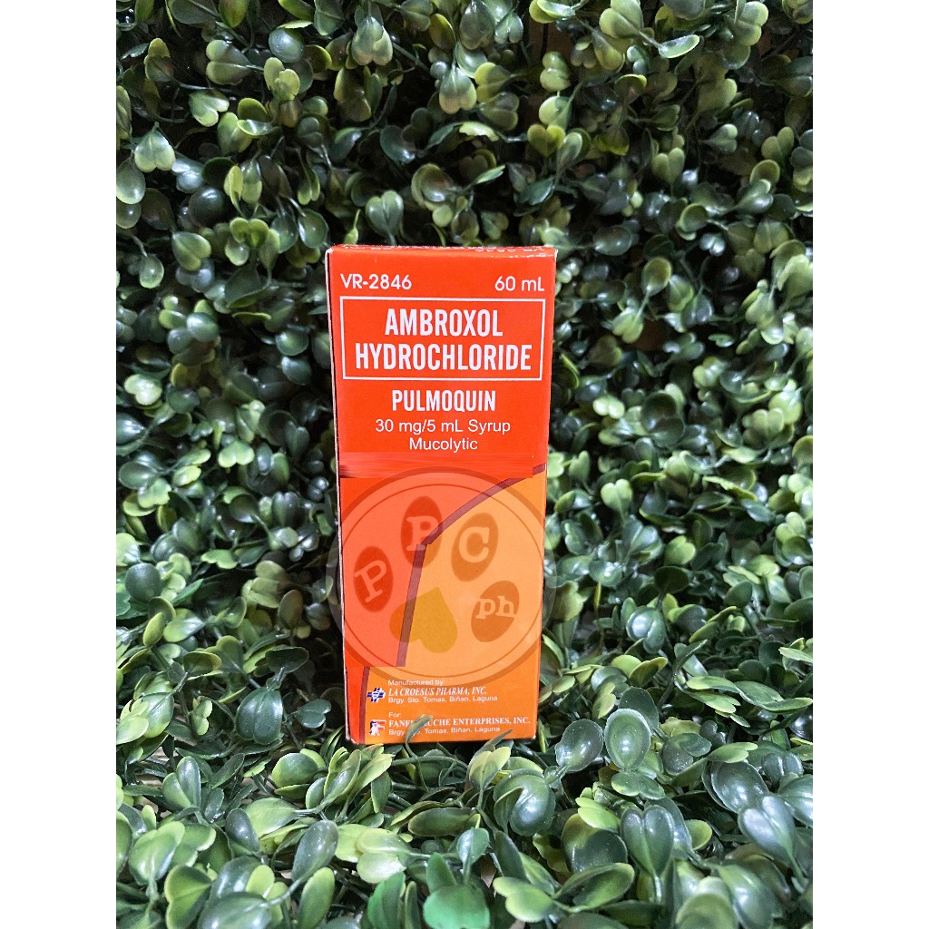 Pulmoquin Syrup Mucolytic for Pets 60ml | Shopee Philippines