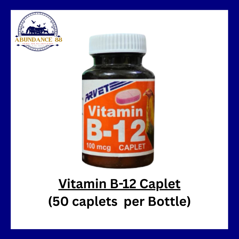 ARVET B12 CAPLET - 50 CAPLETS (SOLD PER BOTTLE) | Shopee Philippines