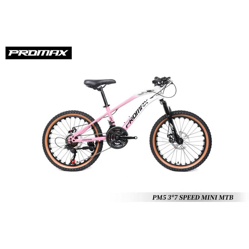 NEW PROMAX PM 5 MINI MTB SIZE 20 STEEL FRAME 2TONE INTERNAL CABLING ...