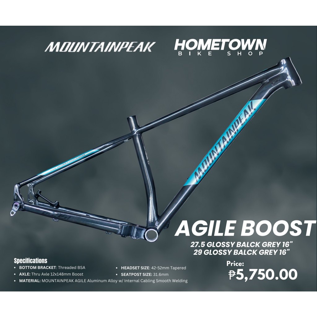 Mountainpeak Agile Boost MTB Frame | Shopee Philippines