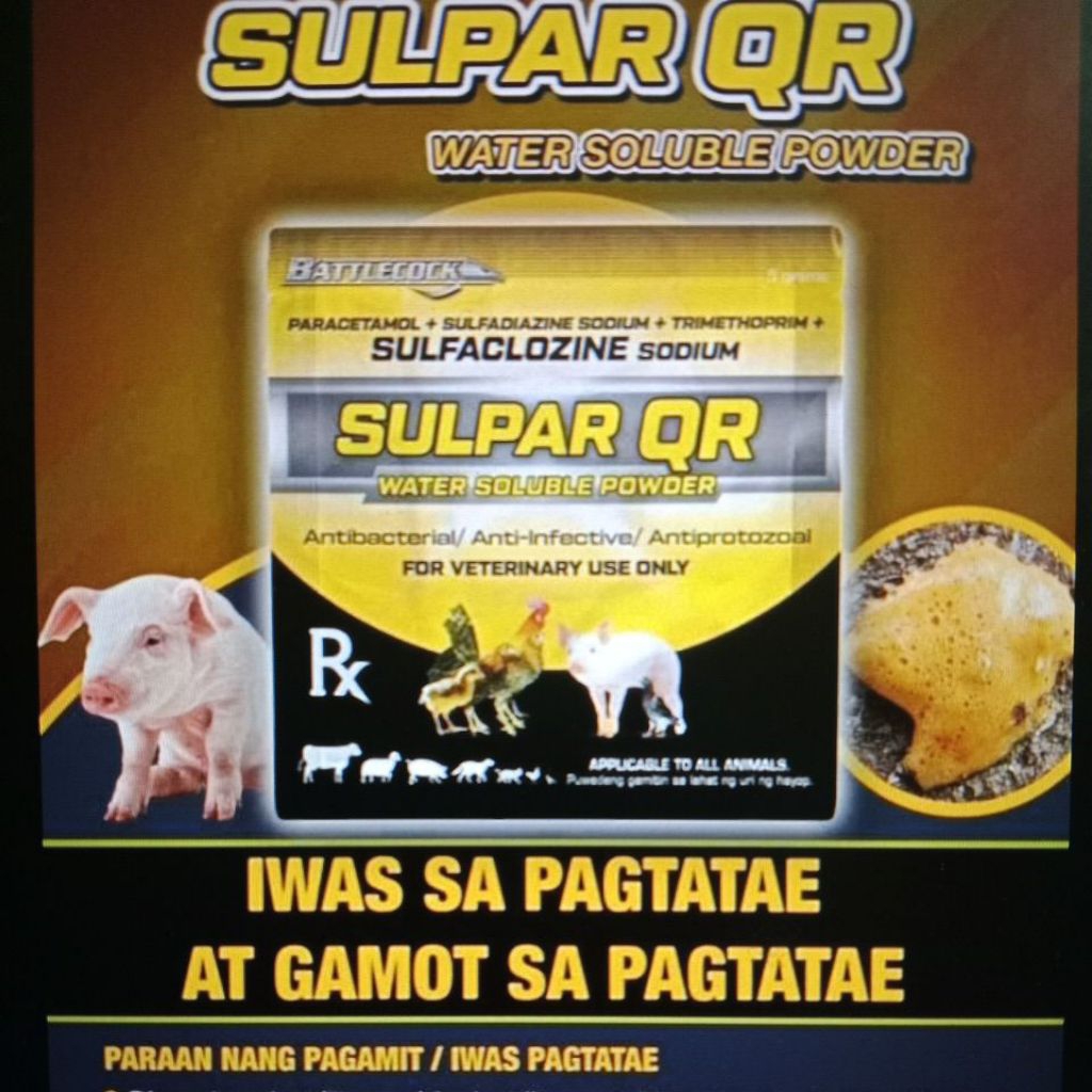 SULPAR QR 5G per SACHET | Shopee Philippines