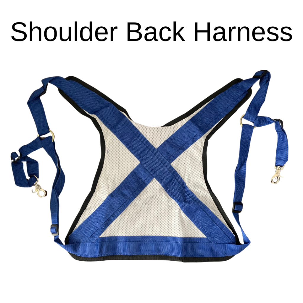 Shoulder-Back Harness | Shopee Philippines