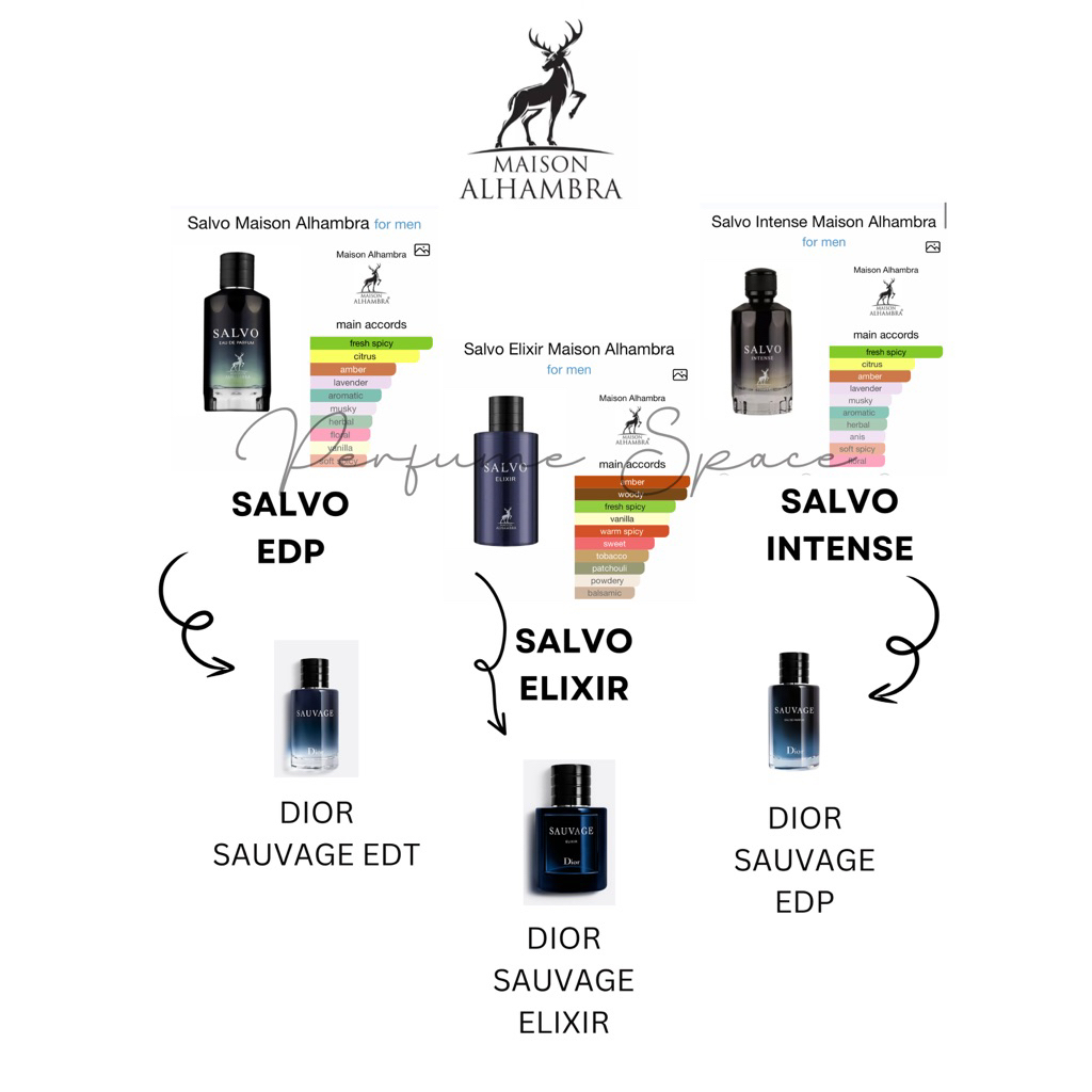 SALVO EDP, SALVO INTENSE, SALVO ELIXIR by Maison AlHambra EDP 100ml ...