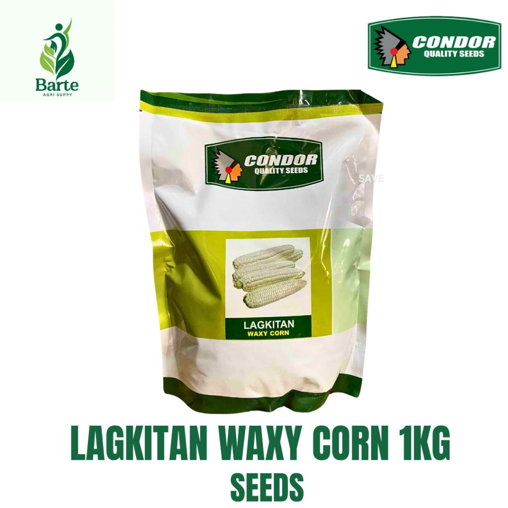 Lagkitan Waxy Corn (1KG) | Shopee Philippines