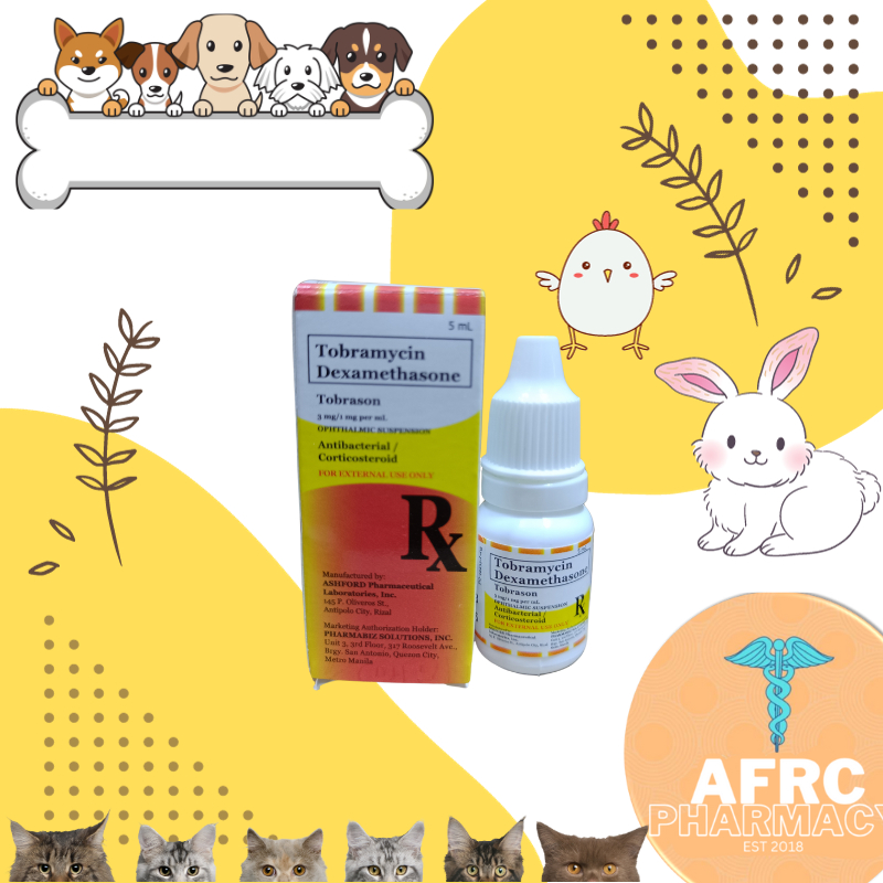 PN Tobrasone Eye Drops for Pets Dog Cat Chicken Rabbit Eye Infection ...