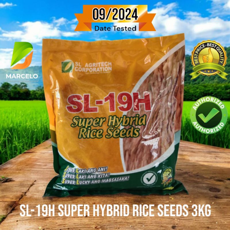 HIGH YIELD SUPER HYBRID RICE SEEDS SL8H / SL19H / SL20H / SL39H 3KG-By ...
