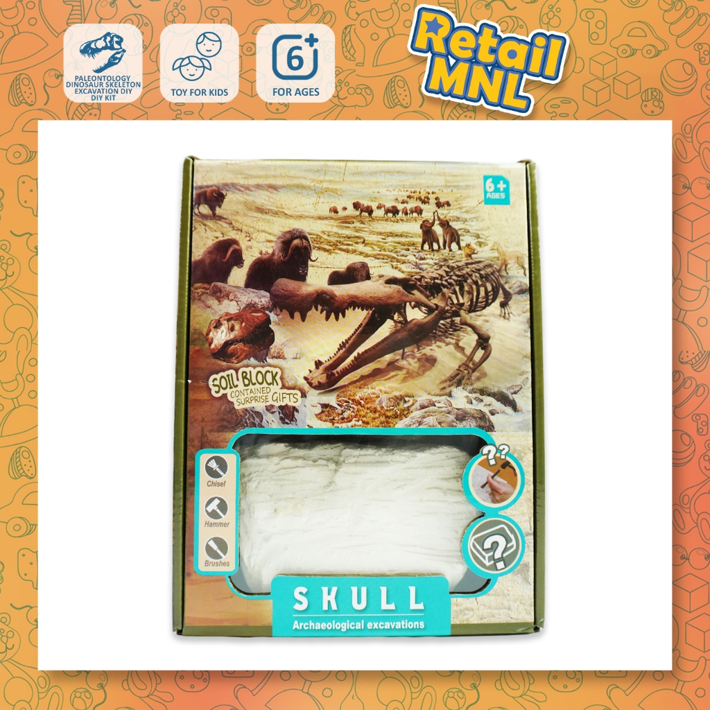 Retailmnl Paleontology Dinosaur Skeleton Excavation DIY Dig Kit for ...