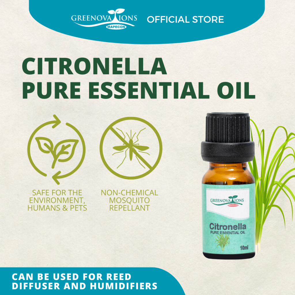 CITRONELLA Pure Essential Oil - 10ML | Shopee Philippines