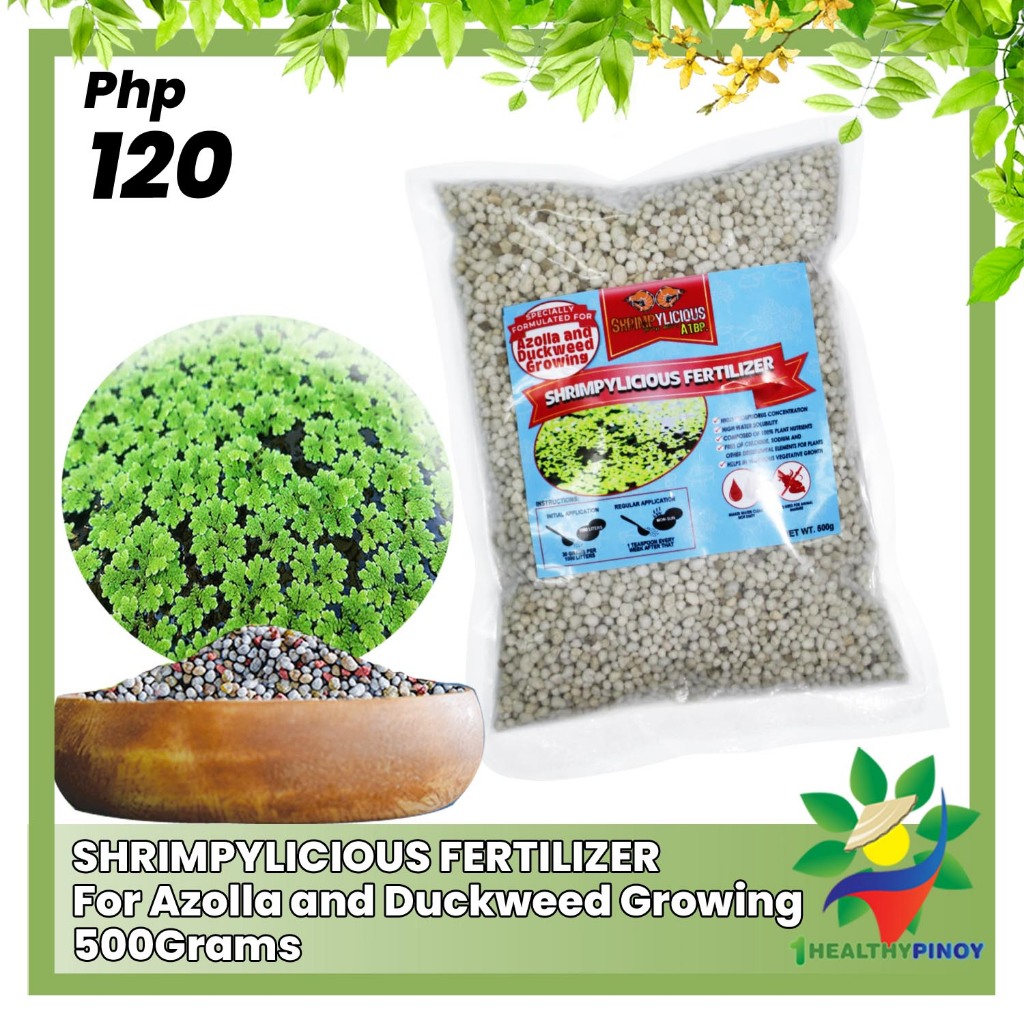1HealthyPinoy Azolla OrganicFertilizer500g-A biofertilizer to improve ...