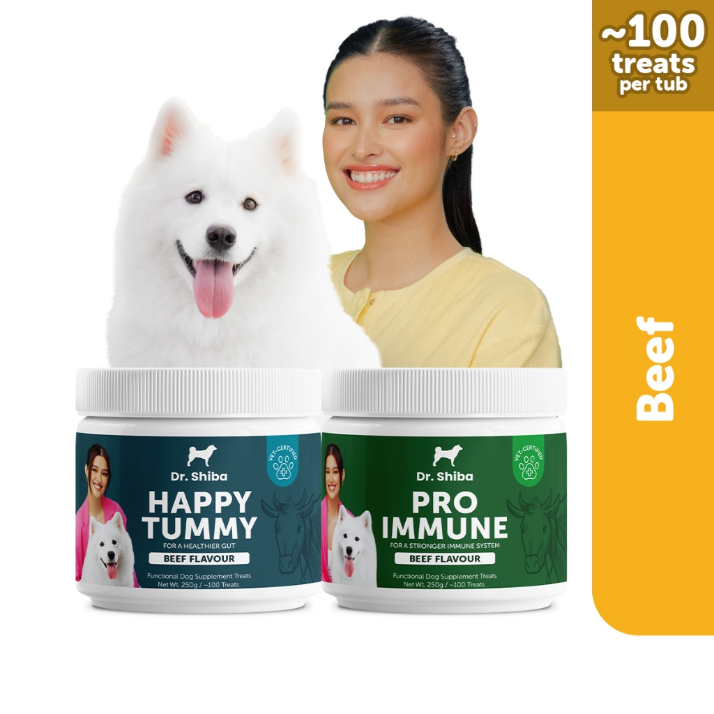 Dr Shiba Happy Tummy & Pro Immune Dog Treats Dog Multivitamins: Dog ...