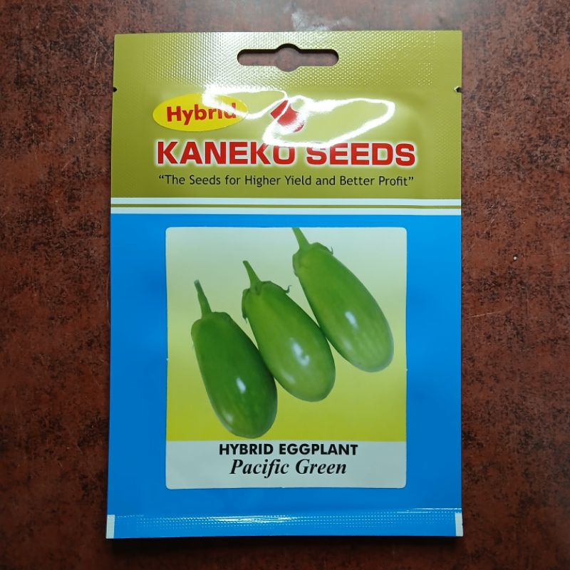 Pacific Green (1 gram) Hybrid Eggplant / Talong by Kaneko Seeds ...