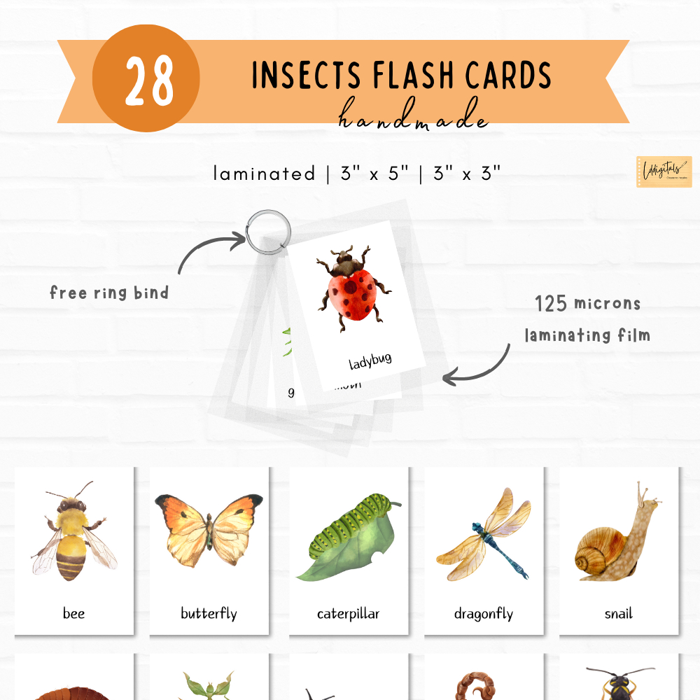 Insects Flash Cards | Nature Insects Inspired Card | Kids Learning ...
