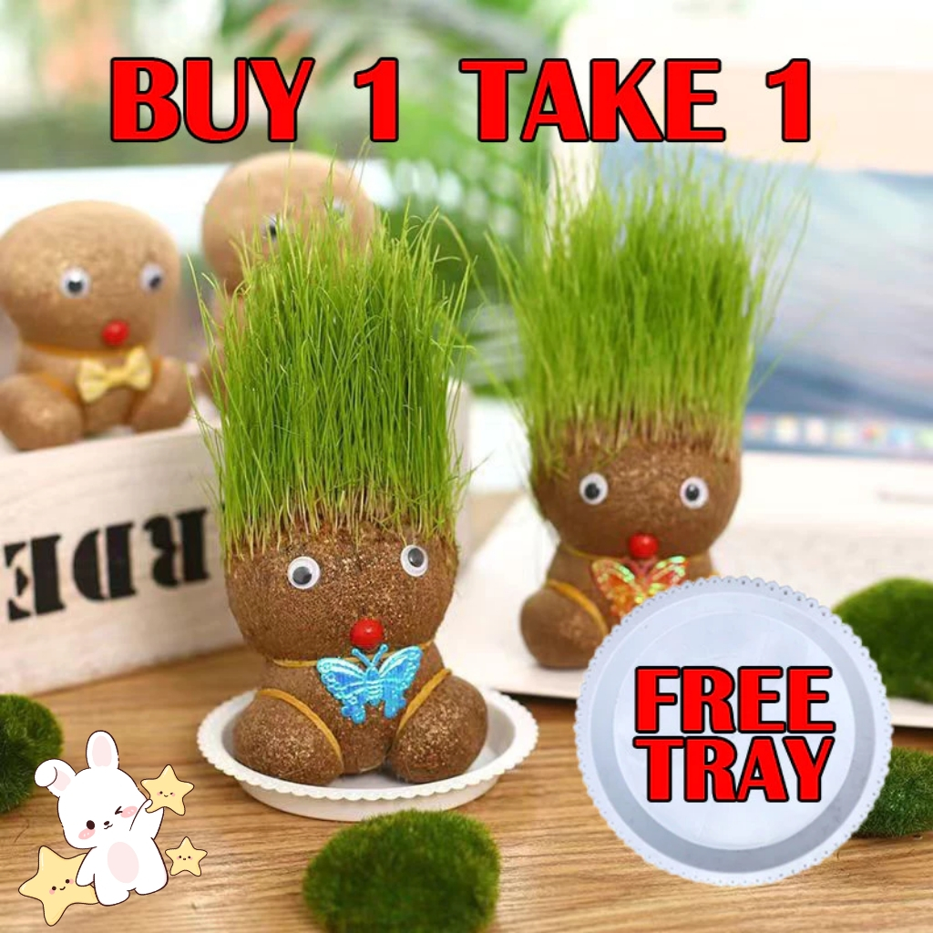 Grass Head Room Decor Children Growing Grass Doll Toys Indoor Office ...
