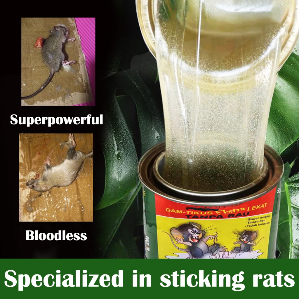 Strong adhesive glue for mice household canning Doom Rat Trap Rat Cage ...